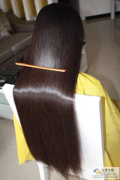 longhairNo.190_77min – 52longhair