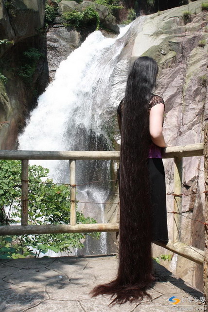 longhairNo.54a_47min – 52longhair