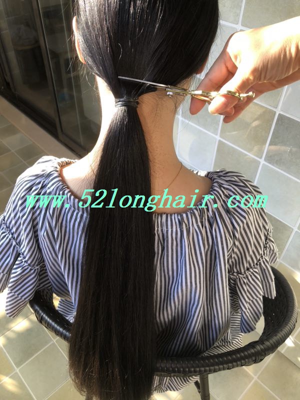 longhairNo.227_30min – 52longhair